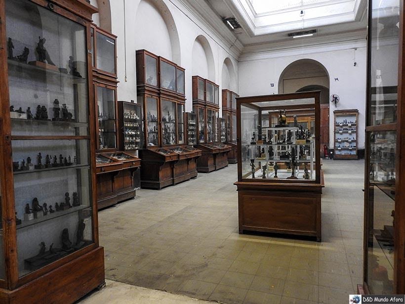 Museu do Cairo: múmias reais e Tutancâmon - D&D Mundo Afora